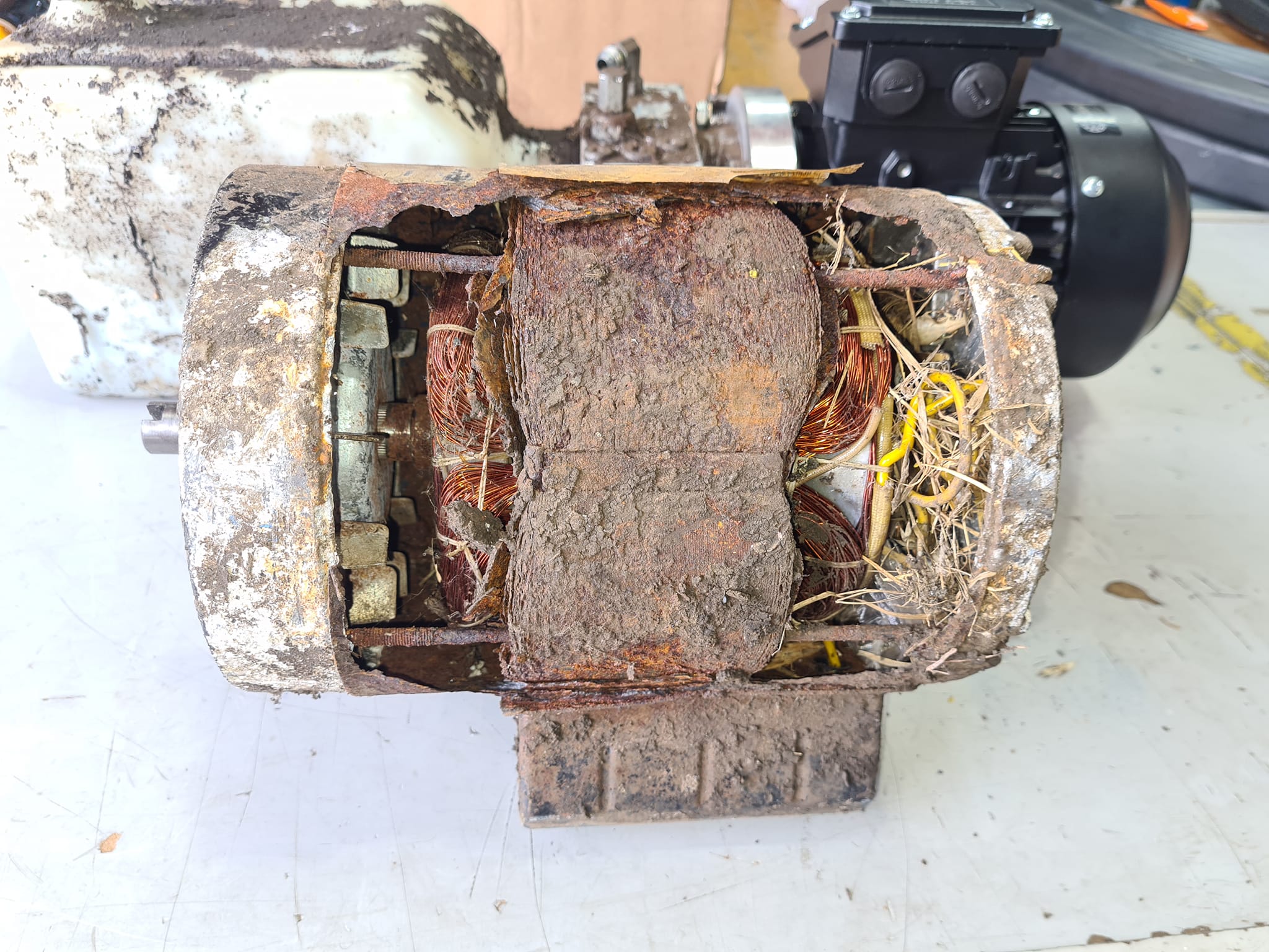 New For Old Motor Solution - Bearings & Power Transmission